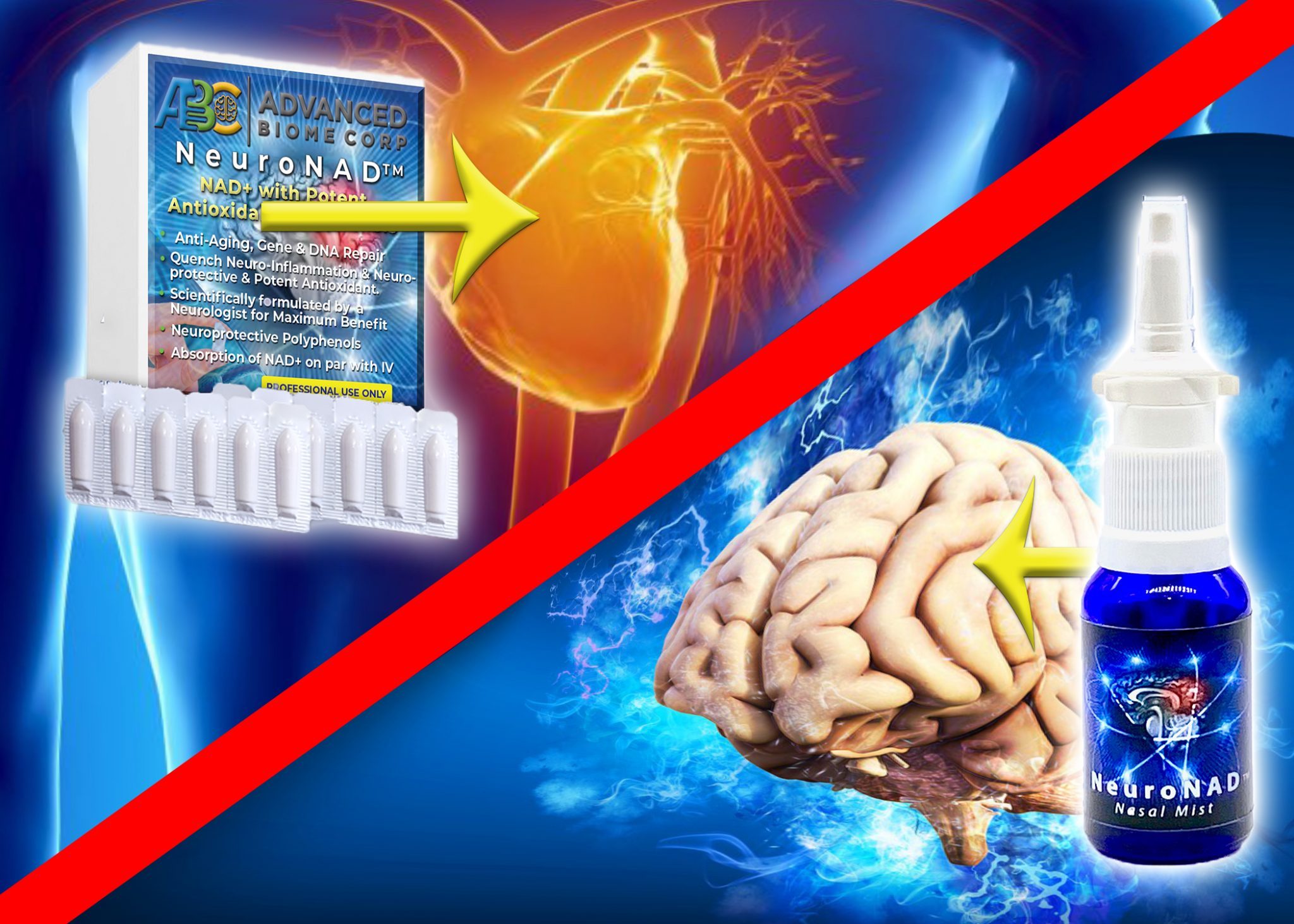 NeuroNAD Nasal Spray – Vidal Coaching